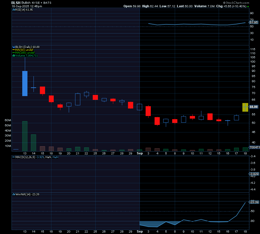 Chart of the Day: Bullish (BLSH) - TradeWins Daily